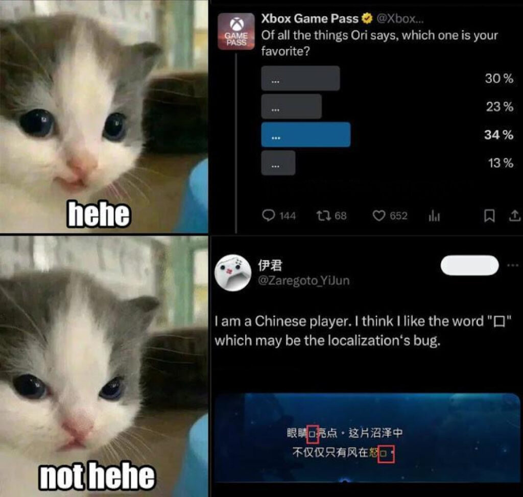 Localization bugs: what they are, what different types there are, and ...